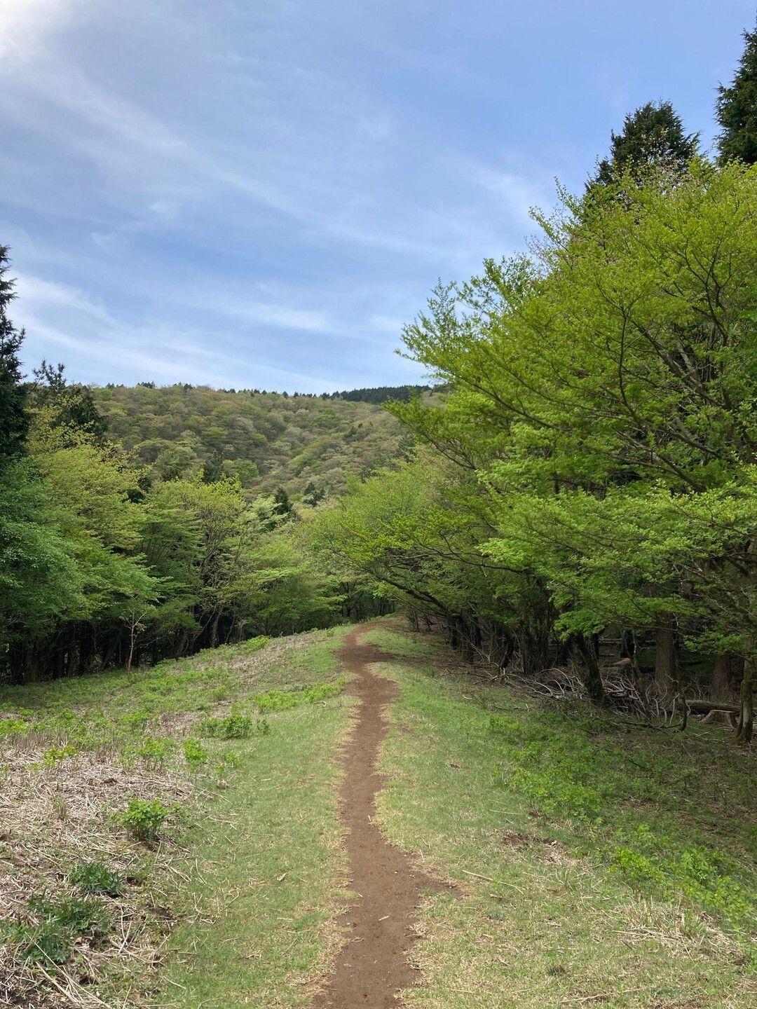 2023/04/29 明星ヶ岳・塔ノ峰 / Taka-Kamさんの金時山・明神ヶ岳の活動データ | YAMAP / ヤマップ