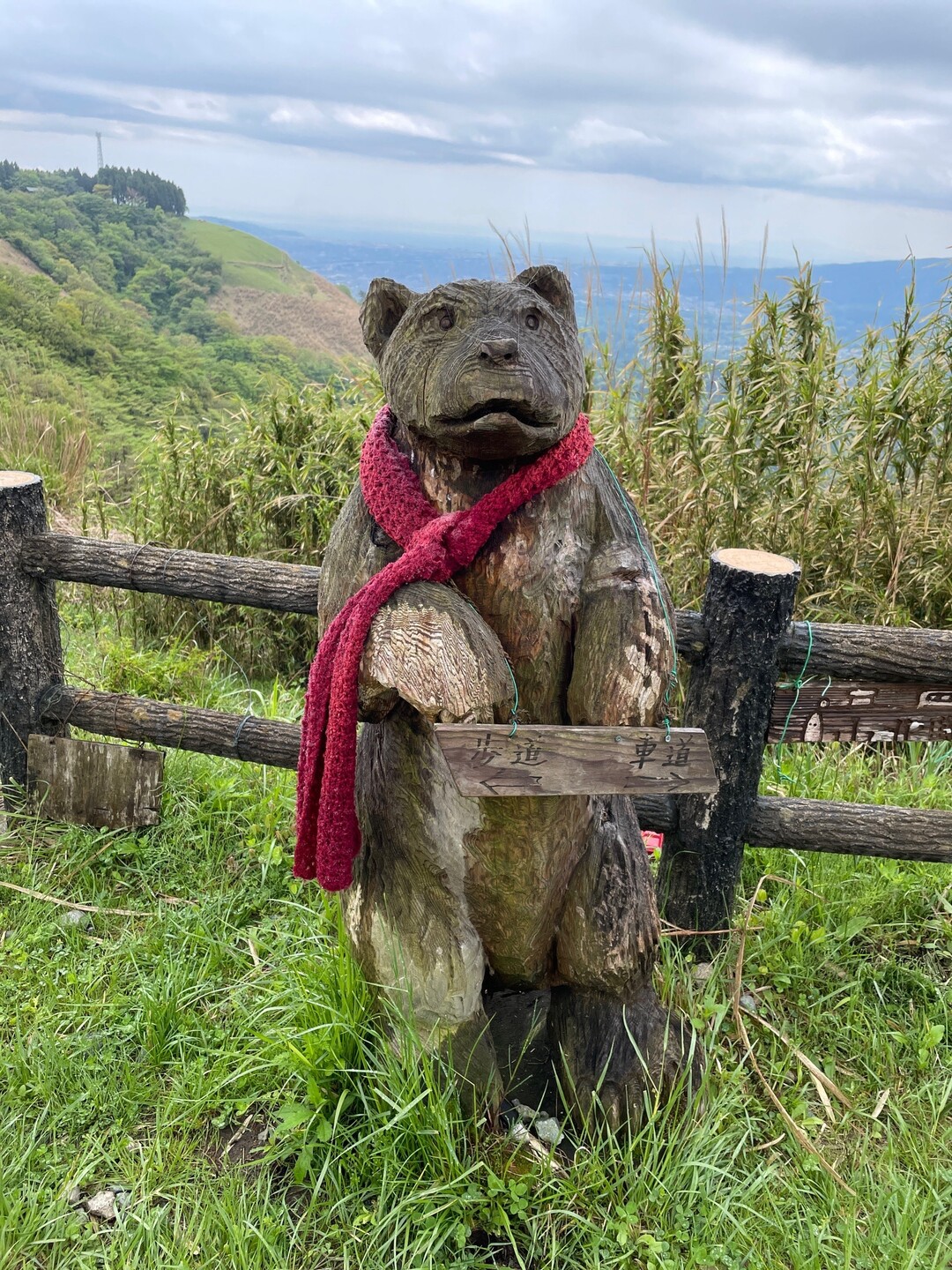 大野山 / hal0330さんの高松山・大野山の活動日記 | YAMAP / ヤマップ