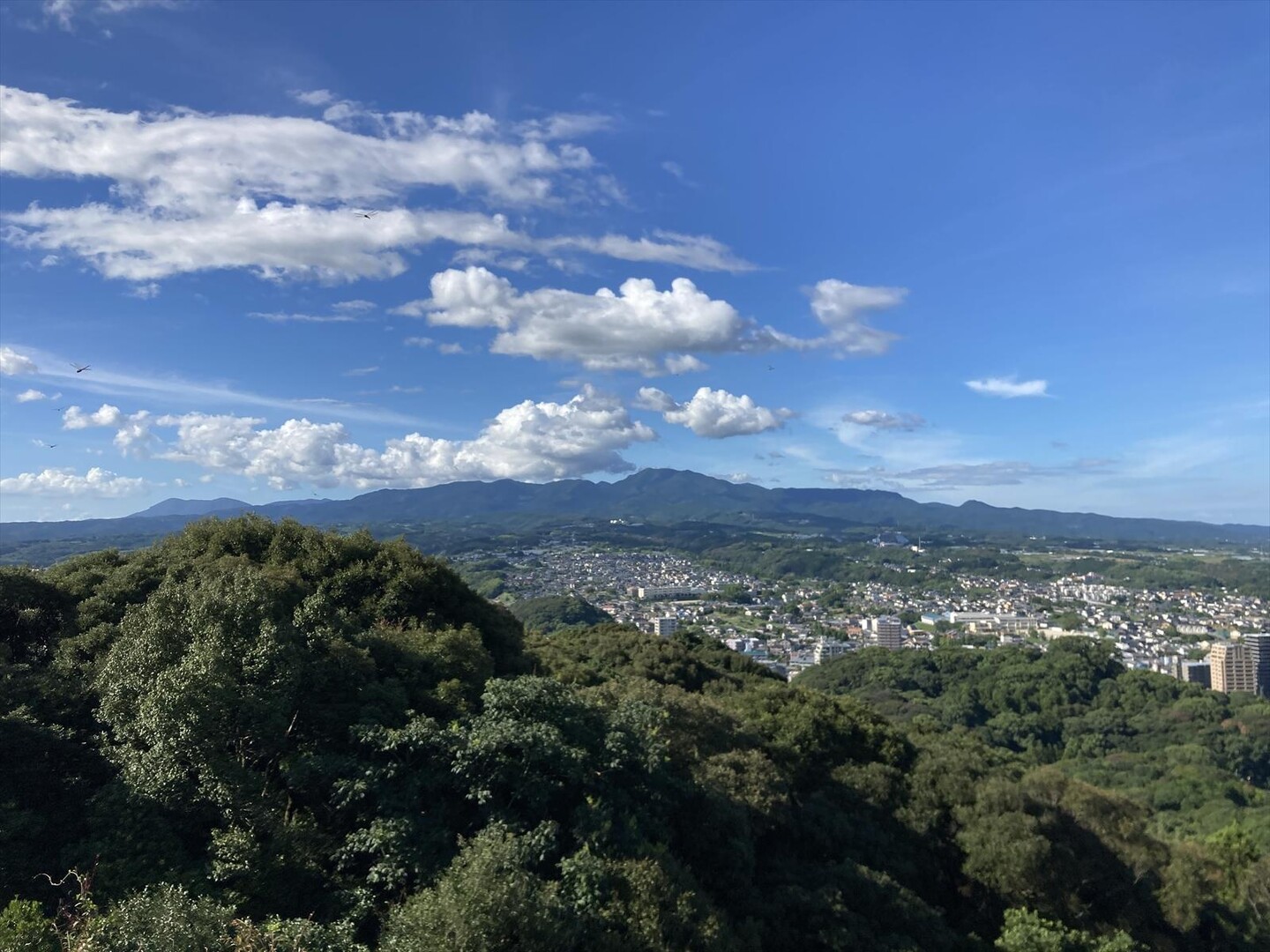 諫早市 上山 ウォーク / Tara さんの諫早市の活動データ | YAMAP / ヤマップ