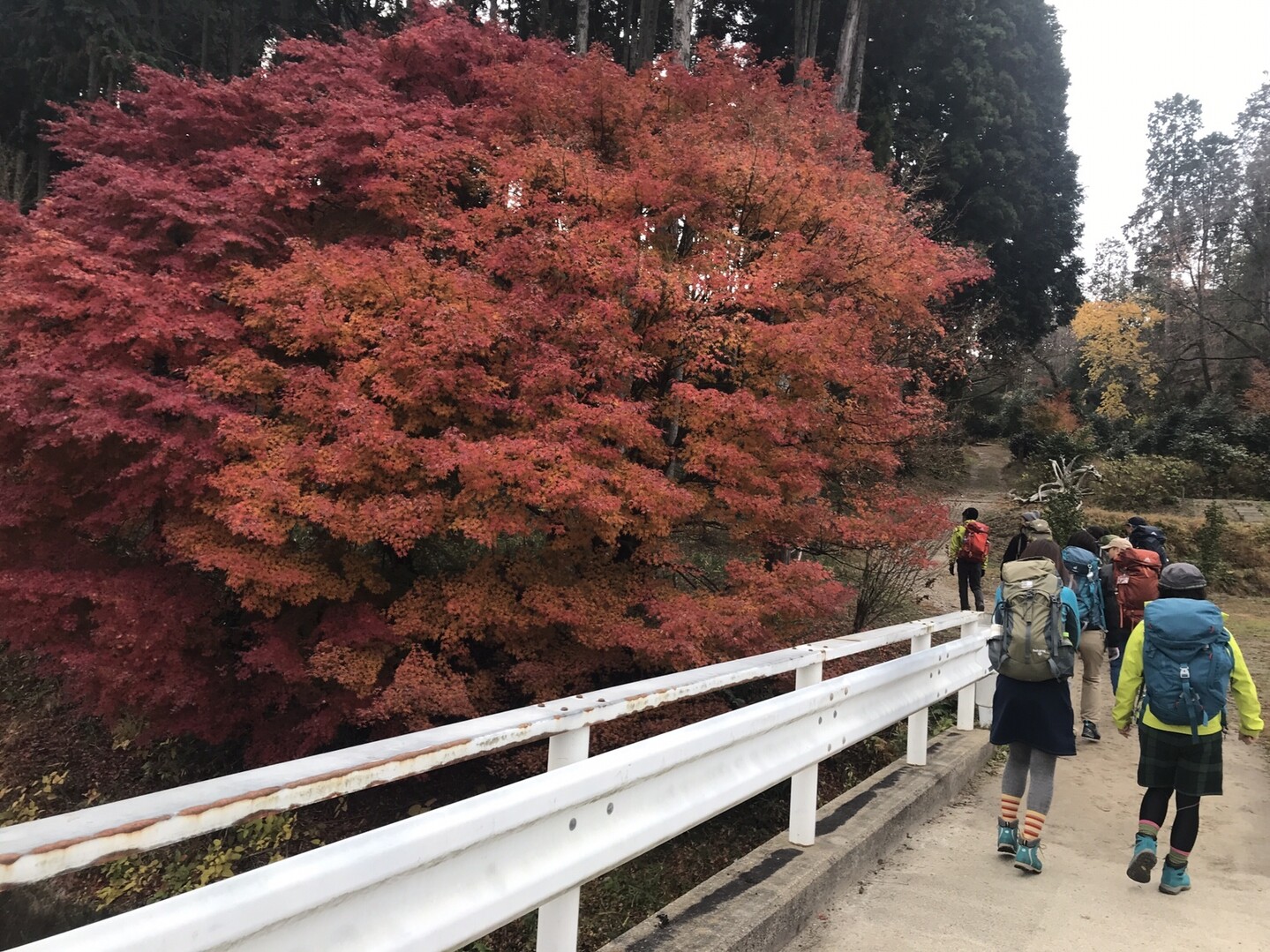 猿投山 3回目 / GASさんの猿投山・物見山の活動データ | YAMAP / ヤマップ