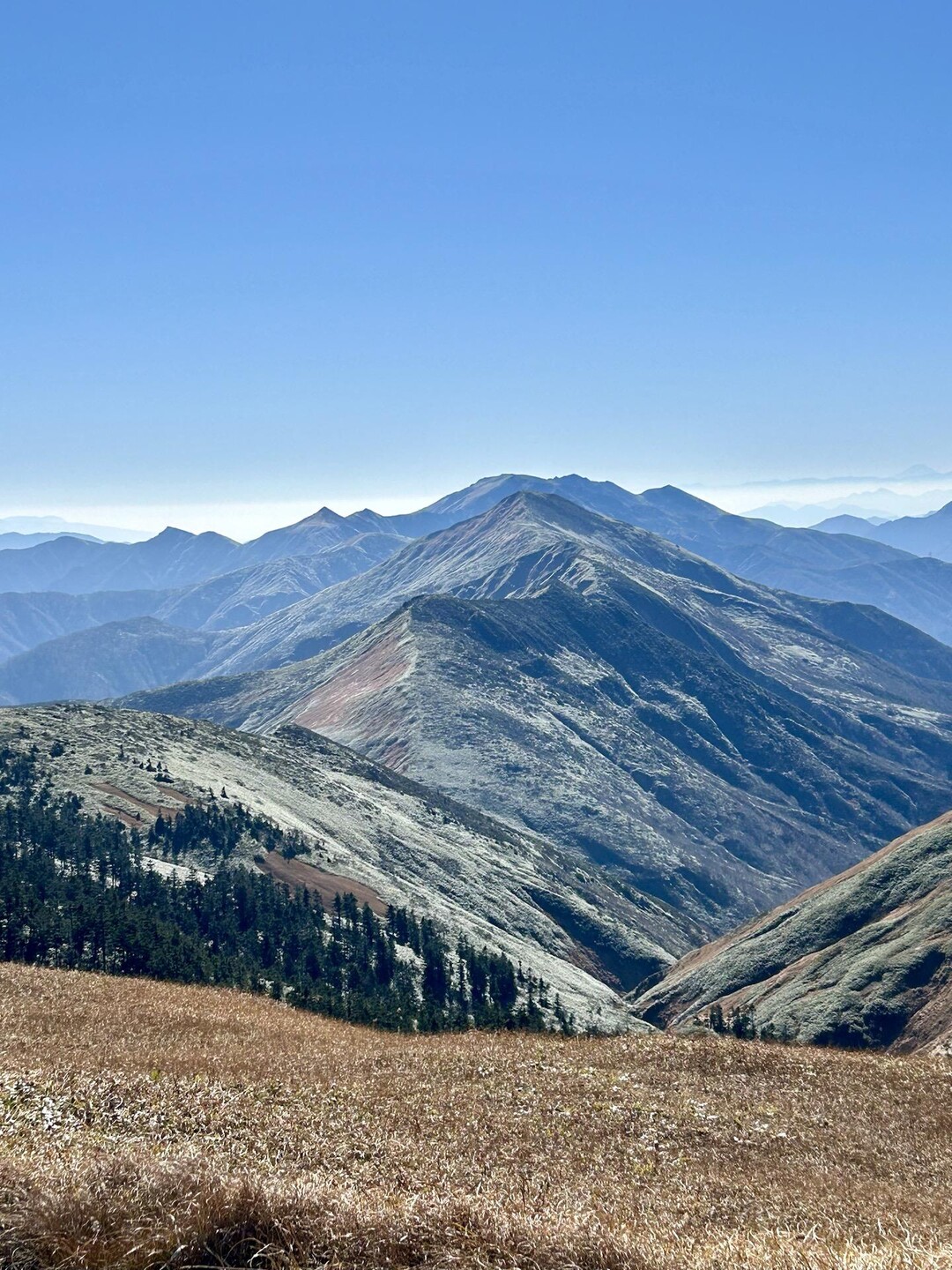 巻機山 / sorarinnさんの巻機山・割引岳・金城山の活動データ | YAMAP / ヤマップ