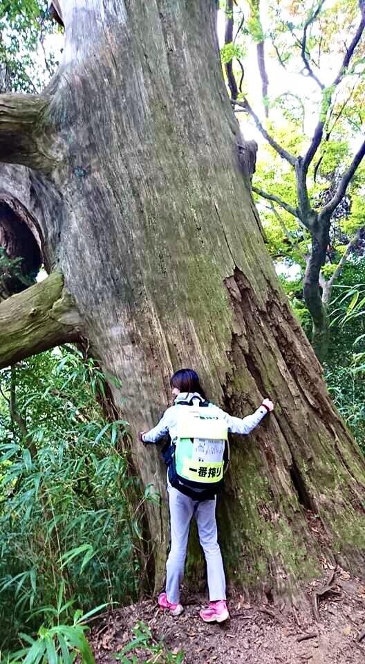 aiのページ | YAMAP / ヤマップ