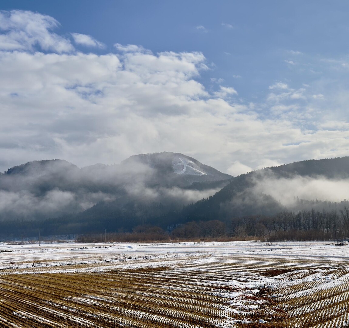 鳳凰山 ありがとうのきみ🦛 ︎ / nepukoさんの鳳凰山の活動データ | YAMAP / ヤマップ
