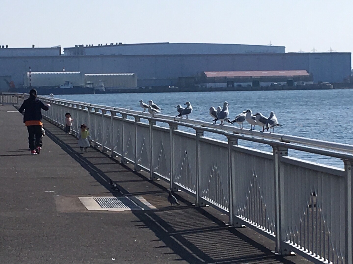 70㎞ランニング🏃 Go to the なごや港⚓ / shigezoさんの東谷山の活動データ | YAMAP / ヤマップ