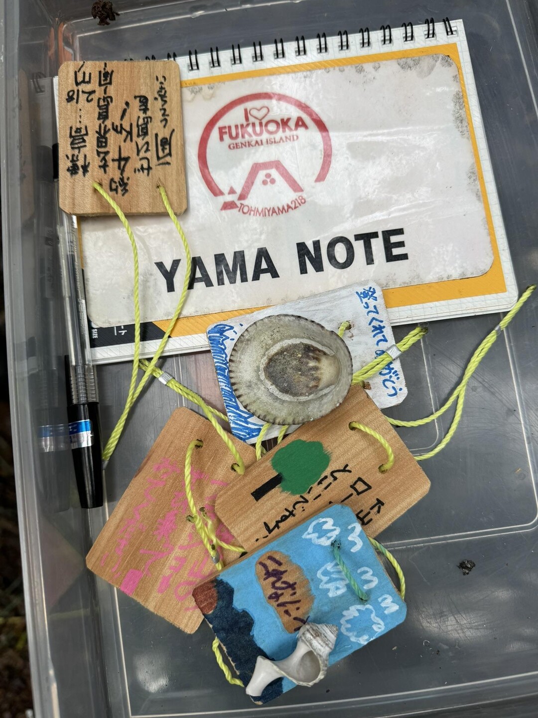 遠見山・大臣山 (玄海島) / Kannaさんの玄界島・遠見山の活動日記 | YAMAP / ヤマップ