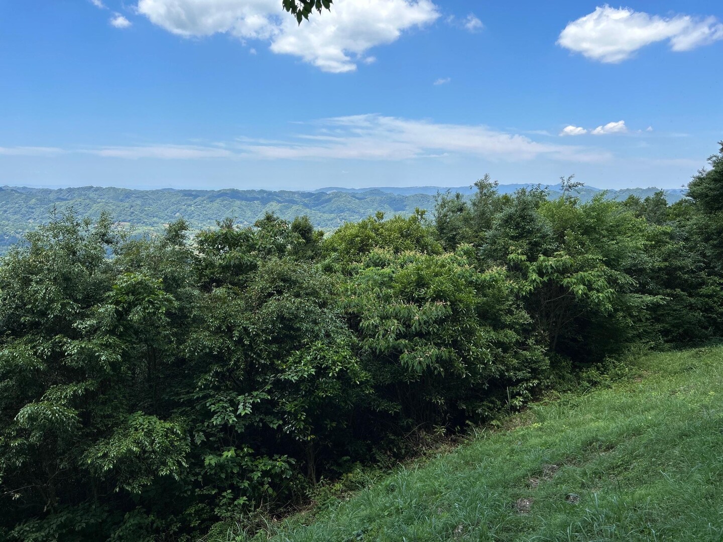 愛宕山・二ツ山 14K / CAT😺GPTさんの愛宕山・二ツ山・大山千枚田の活動データ | YAMAP / ヤマップ