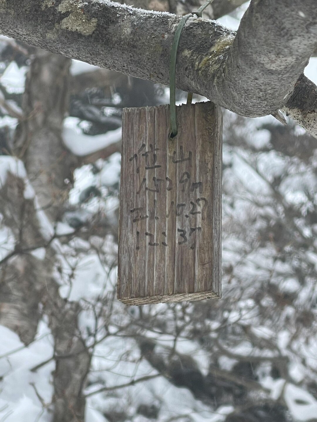 位山 / chiwachiwaさんの川上岳・位山・船山（飛騨富士）の活動データ | YAMAP / ヤマップ