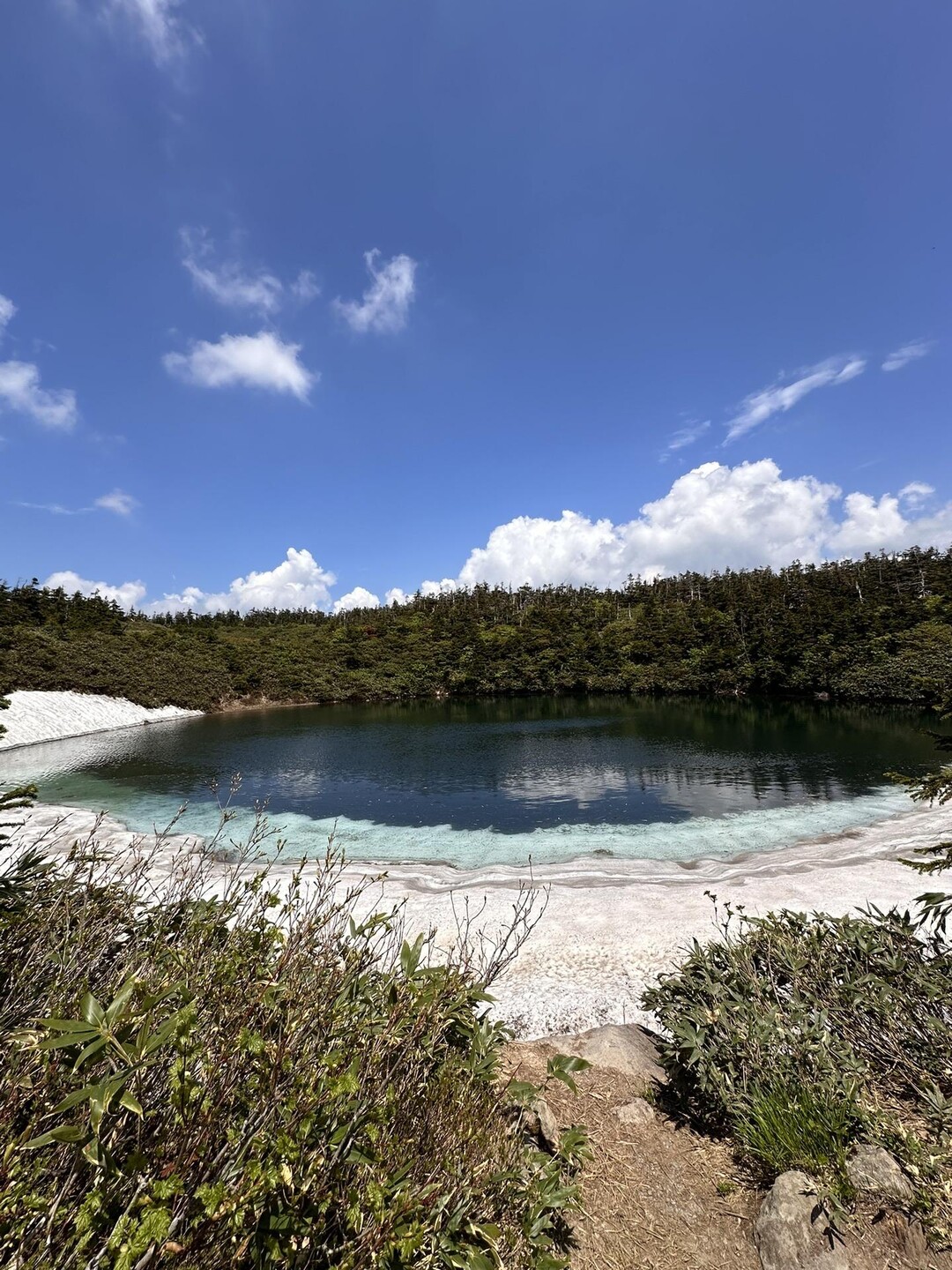 八幡平・藤助森・源太森 / JUNさんさんの八幡平・源太森・安比岳の活動日記 | YAMAP / ヤマップ