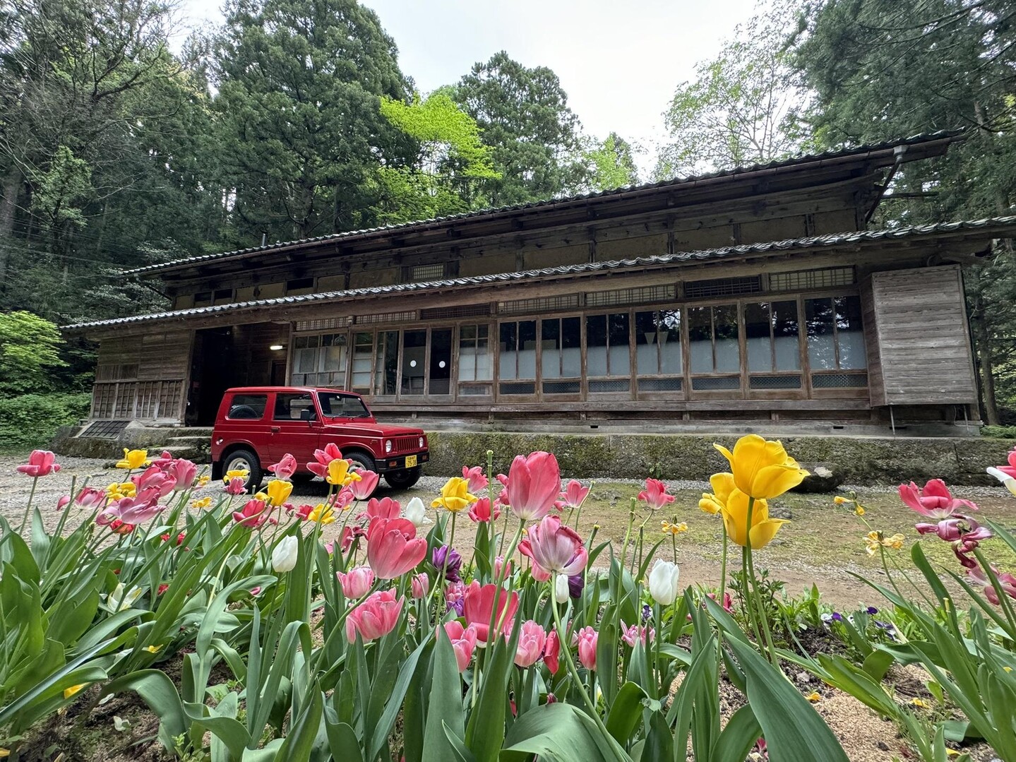 城ヶ平山お散歩 / TACK🥷さんの登山の活動日記 | YAMAP / ヤマップ