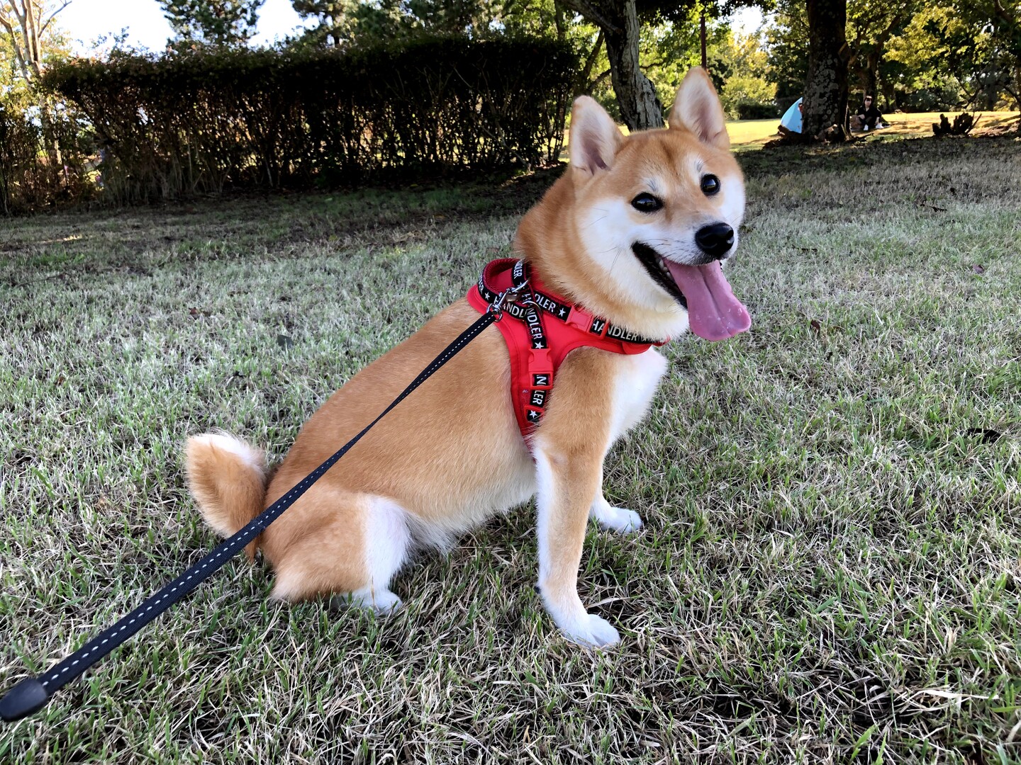 J.BOYのページ | YAMAP / ヤマップ