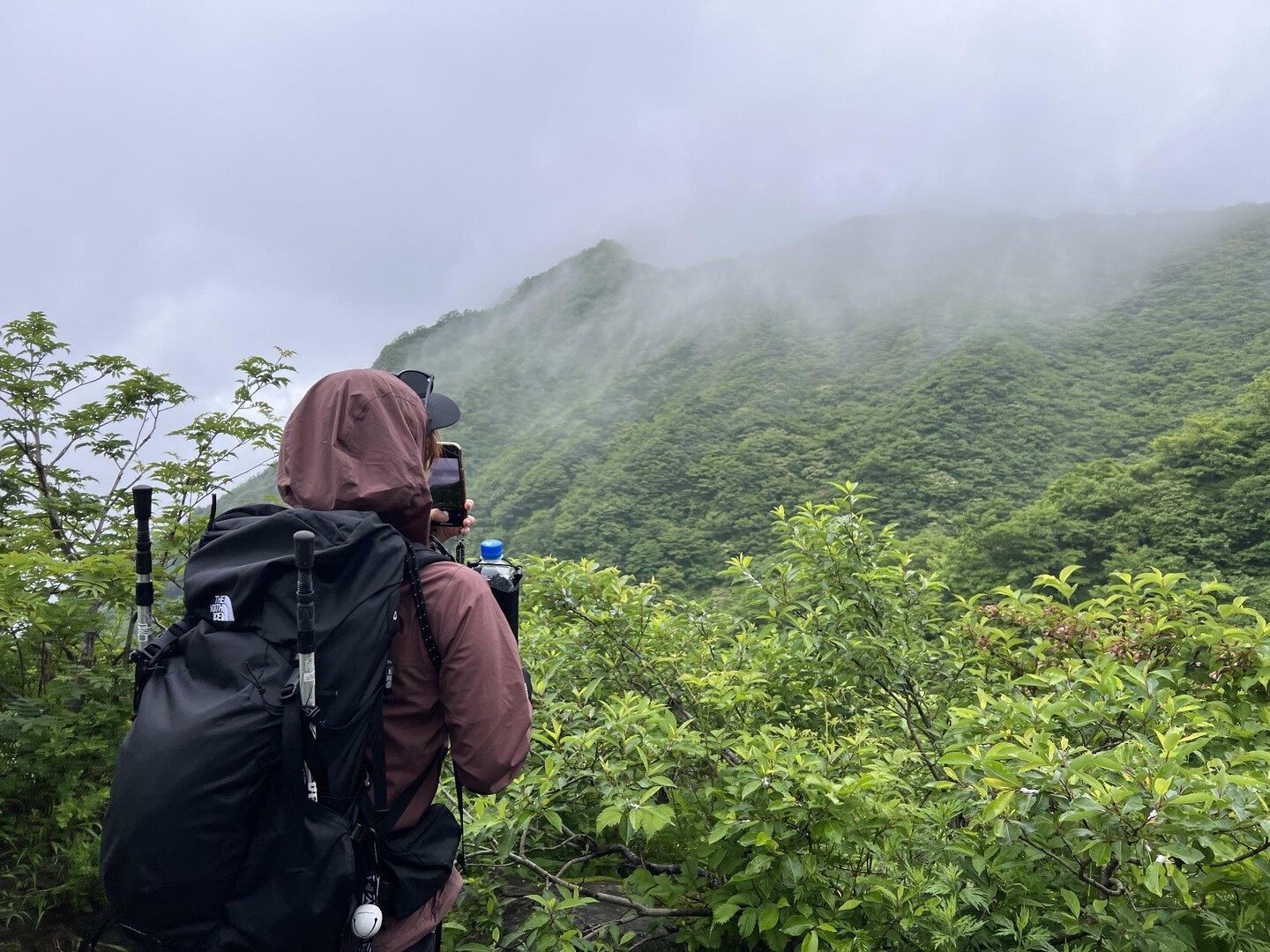 大山・甲ヶ山・野田ヶ山-2023-06-16 / akariさんの大山・甲ヶ山・野田ヶ山の活動データ | YAMAP / ヤマップ