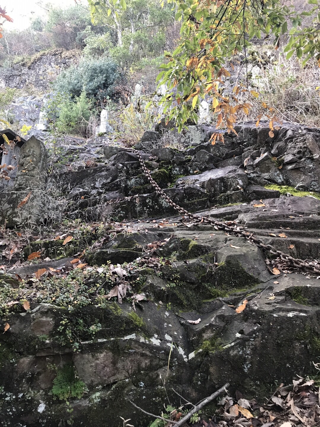 善通寺空海ウォーク行って帰っての巻 ️ / カツヤさんの善通寺五岳山 空海トレイルの活動データ | YAMAP / ヤマップ