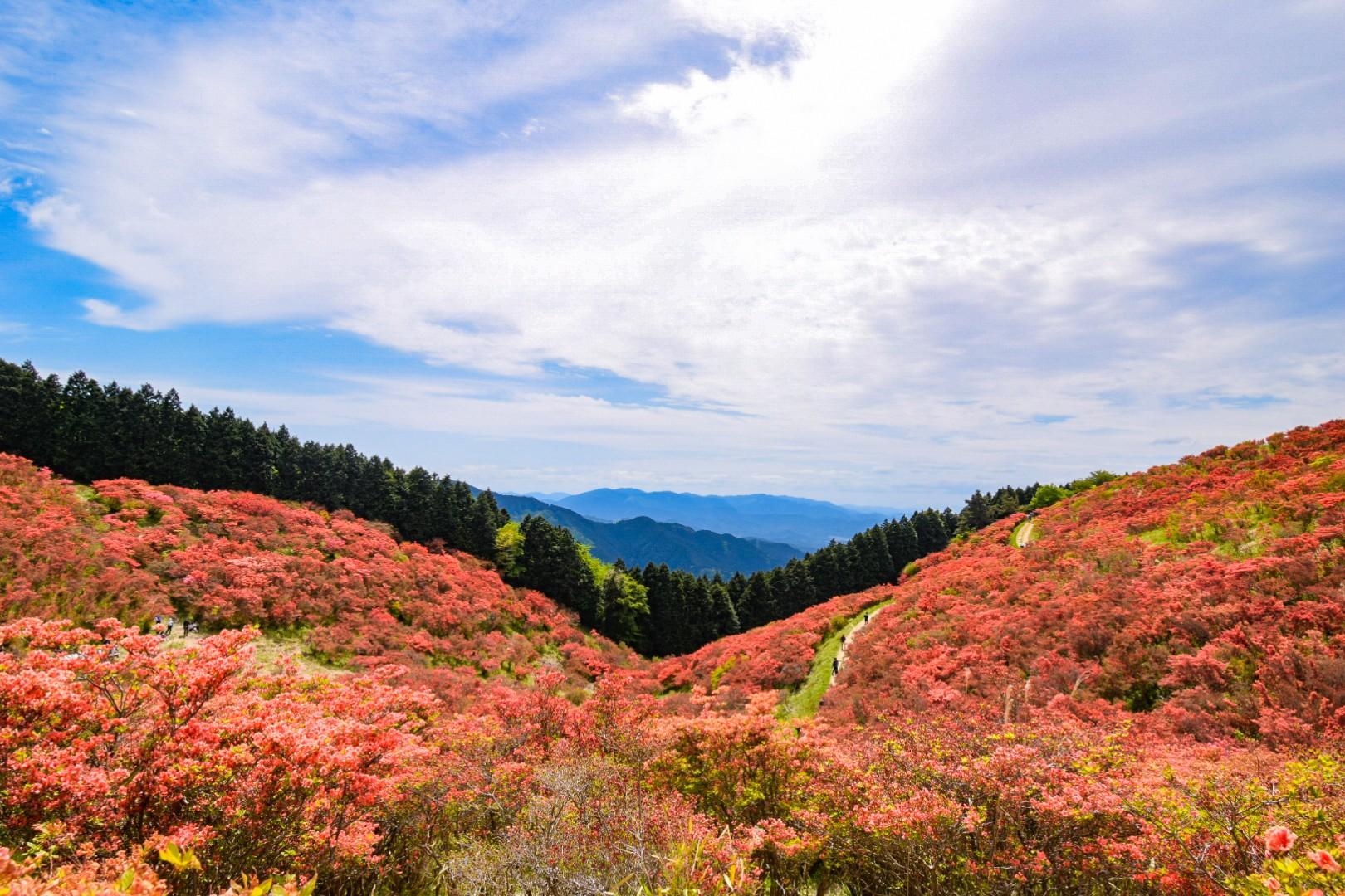 大和葛城山 / konaoさんの金剛山・二上山・大和葛城山の活動データ | YAMAP / ヤマップ