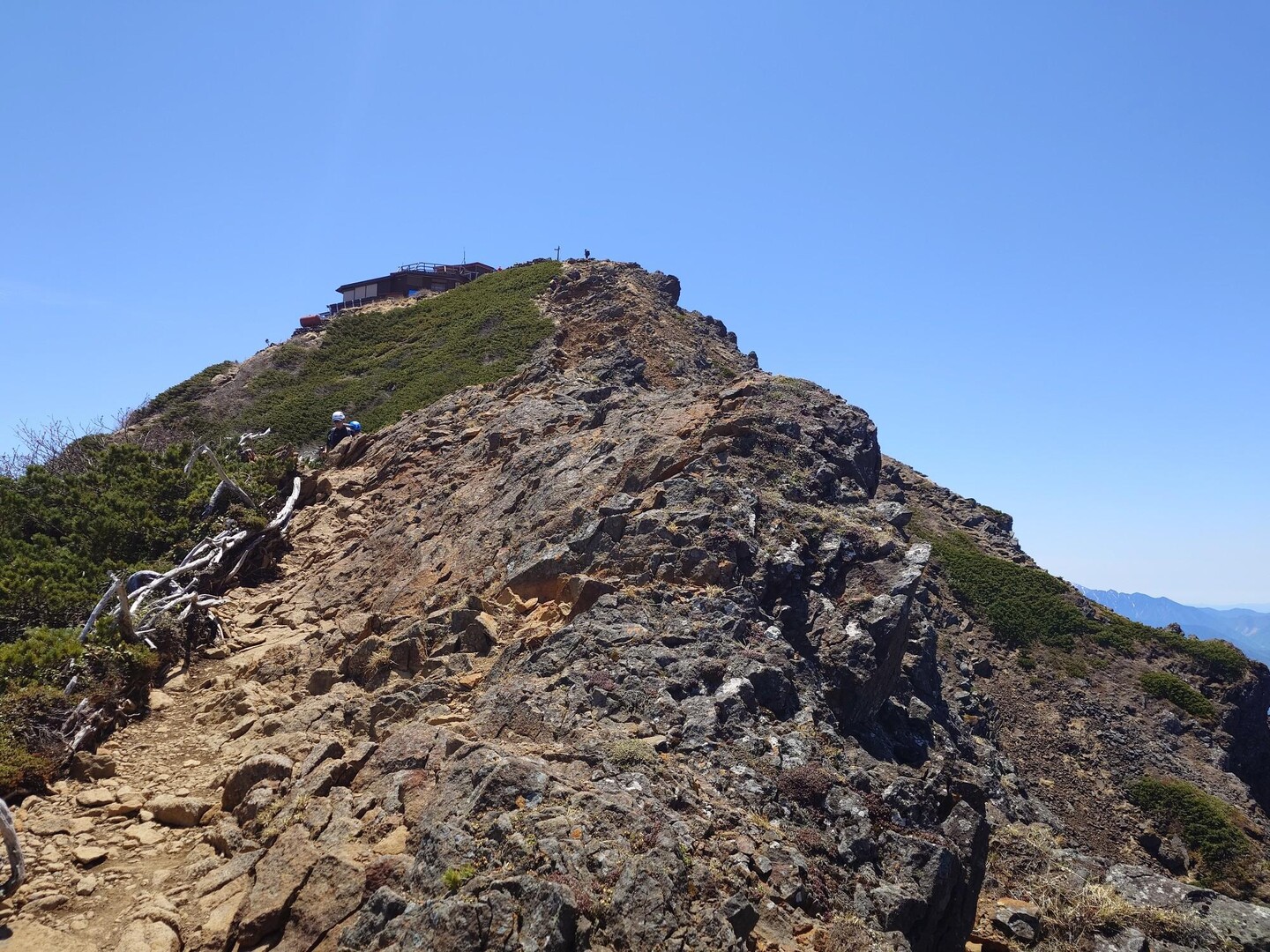 百名山14座目【赤岳】 つくも草と疲労困憊そして‥ / daiさんの八ヶ岳（赤岳・硫黄岳・天狗岳）の活動データ | YAMAP / ヤマップ