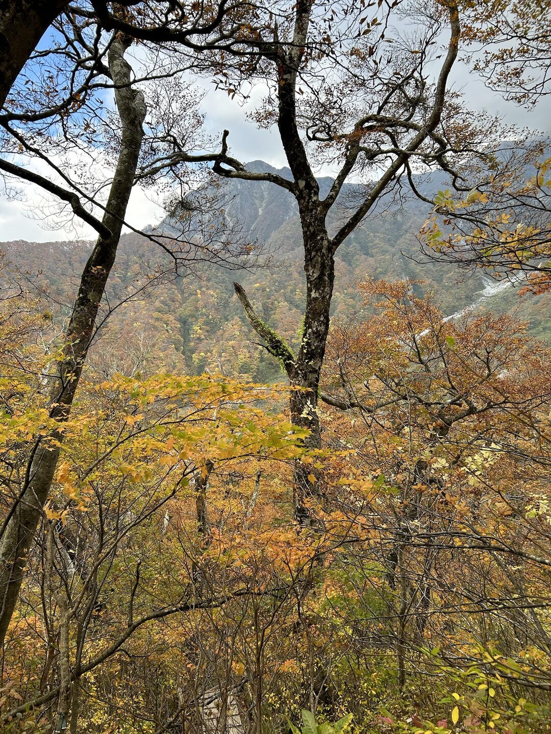 大山（弥山） / minさんの大山・甲ヶ山・野田ヶ山の活動データ | YAMAP / ヤマップ
