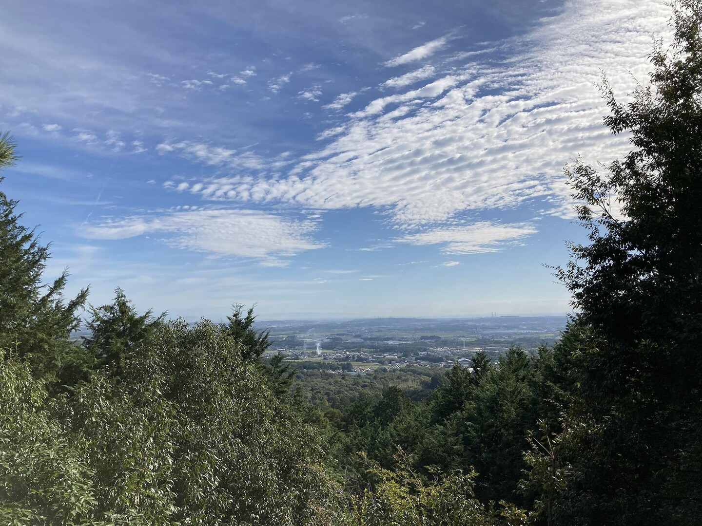 尾高山 / BMXさんの釈迦ヶ岳の活動データ | YAMAP / ヤマップ