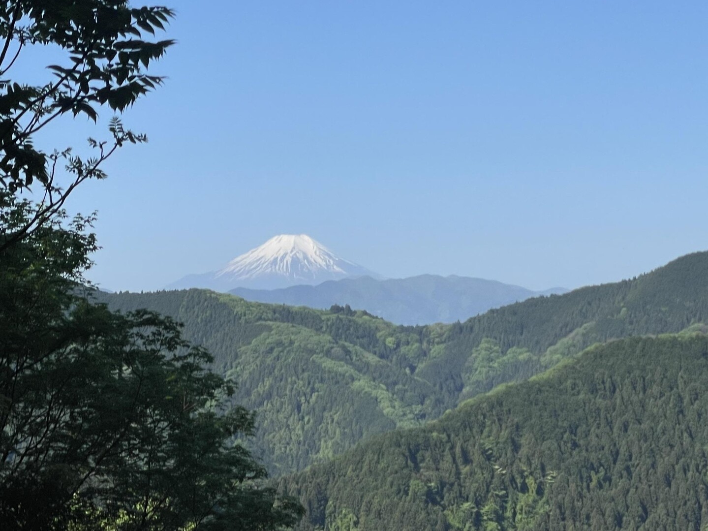 北高尾-景信山-小仏城山-城山北東尾根-高尾山口 / serickさんの高尾山・陣馬山・景信山の活動データ | YAMAP / ヤマップ