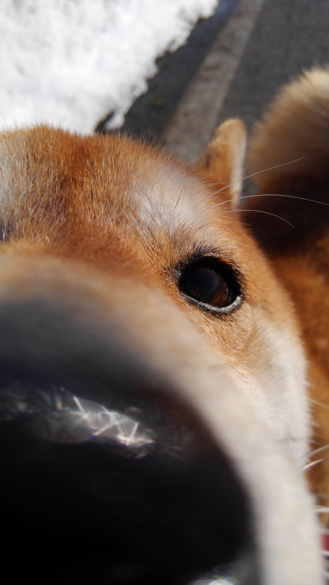 ちいはるがフォローしているユーザー一覧 | YAMAP / ヤマップ