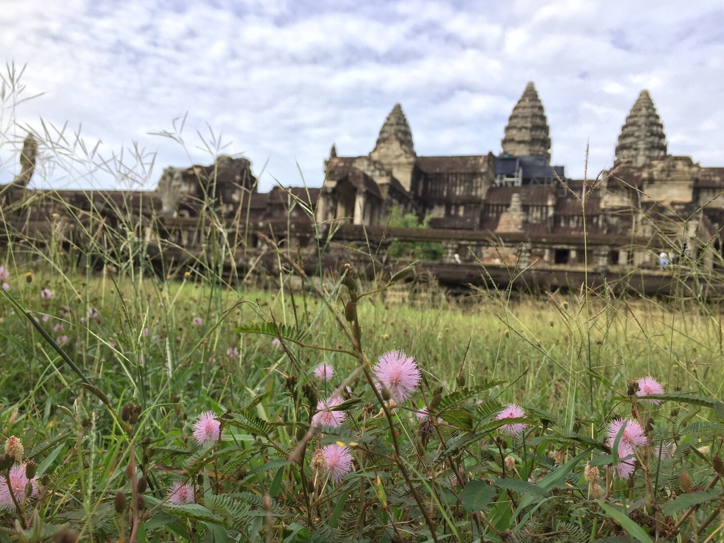 20181208 Siem Reap / Eno-chanさんのシェムリアップの活動データ | YAMAP / ヤマップ