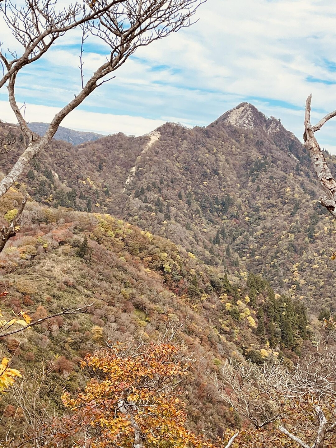 鈴鹿セブン3座目 鎌ヶ岳 / Georgeさんの入道ヶ岳・鎌ヶ岳・仙ヶ岳の活動データ | YAMAP / ヤマップ