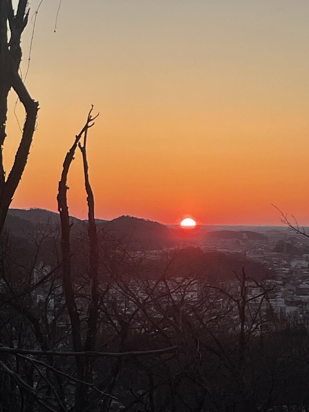 あけましておめでとうございます！ 今年は... / akkoさんのモーメント | YAMAP / ヤマップ
