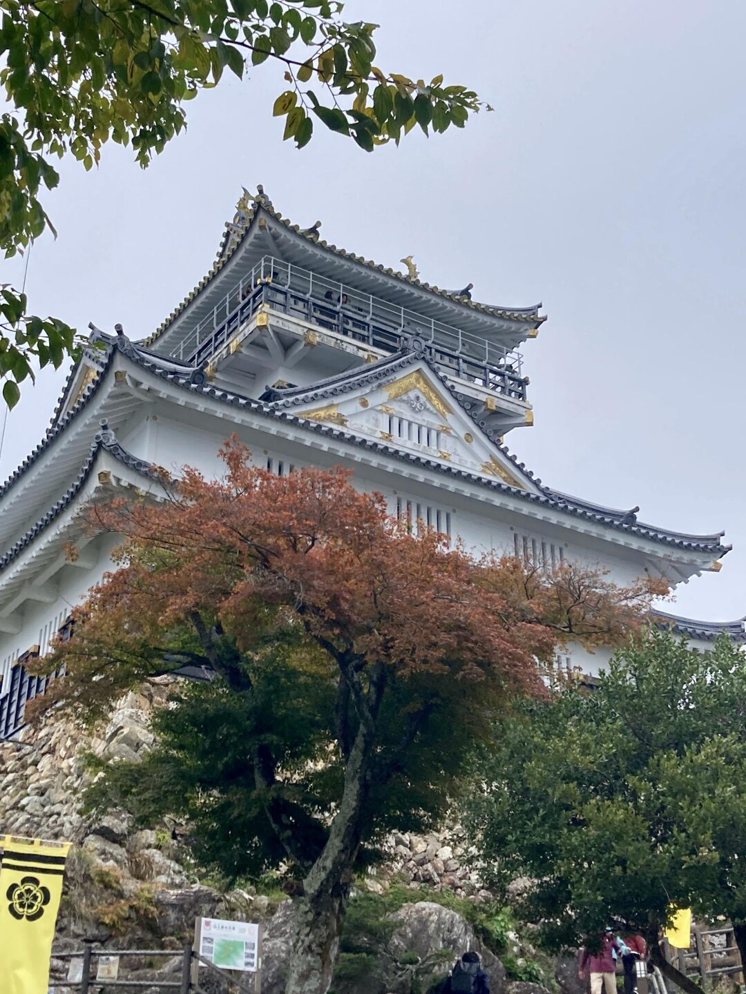 金華山グレートトラバース11座 / mimiさんの金華山・洞山・舟伏山の活動データ | YAMAP / ヤマップ