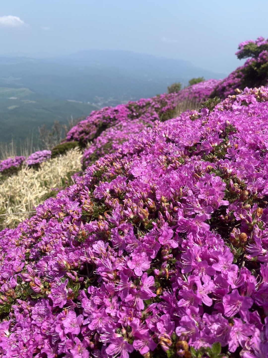 涌蓋山 / kaz.solさんの涌蓋山・猟師山の活動日記 | YAMAP / ヤマップ