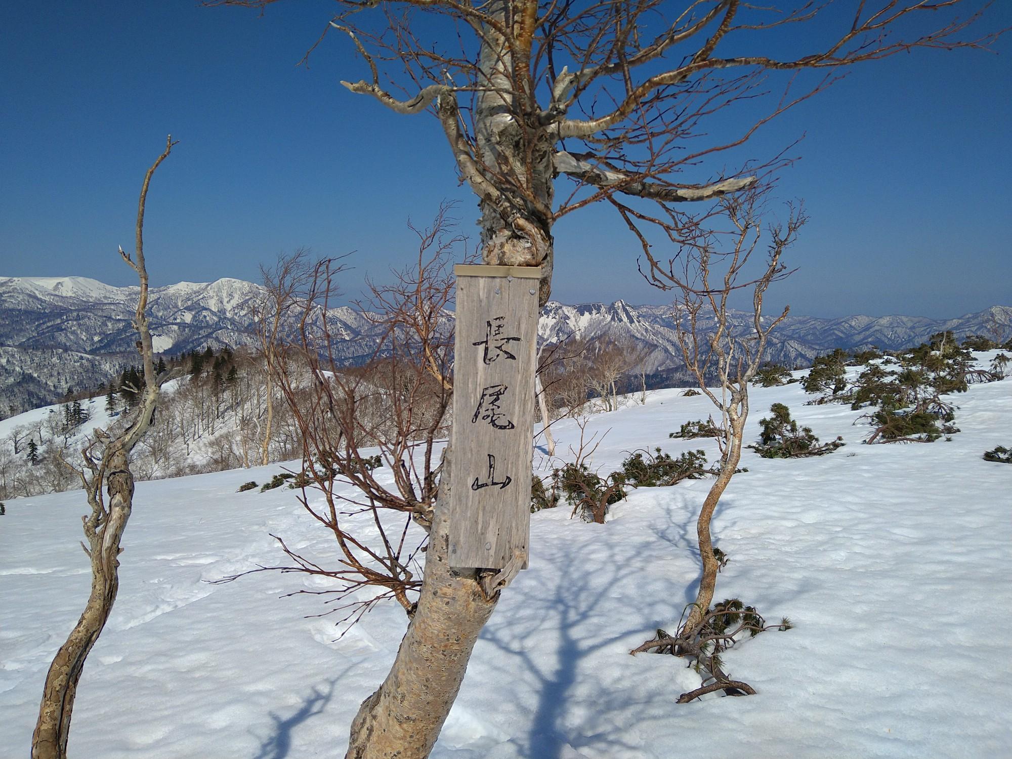 大沼山・千尺高地・長尾山 / hirohiroさんの無意根山の活動データ | YAMAP / ヤマップ