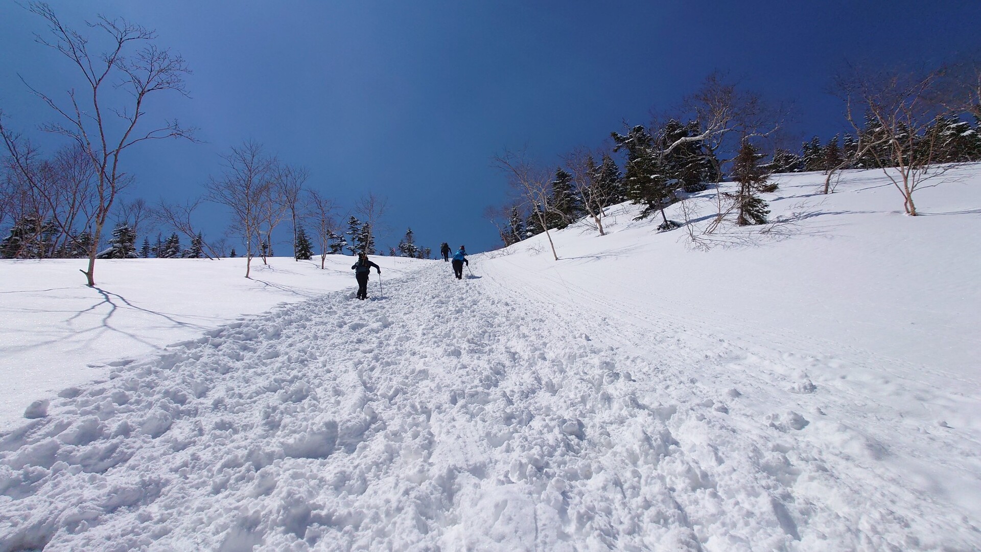 三股 ️蝶ヶ岳は道中雪がたっぷりです。登... / capetaさんのモーメント | YAMAP / ヤマップ