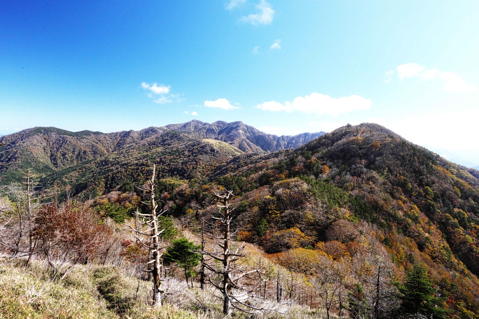 紅葉さんぽ「落合峠」 / さんぽっぽさんの矢筈山・黒笠山の活動日記 | YAMAP / ヤマップ