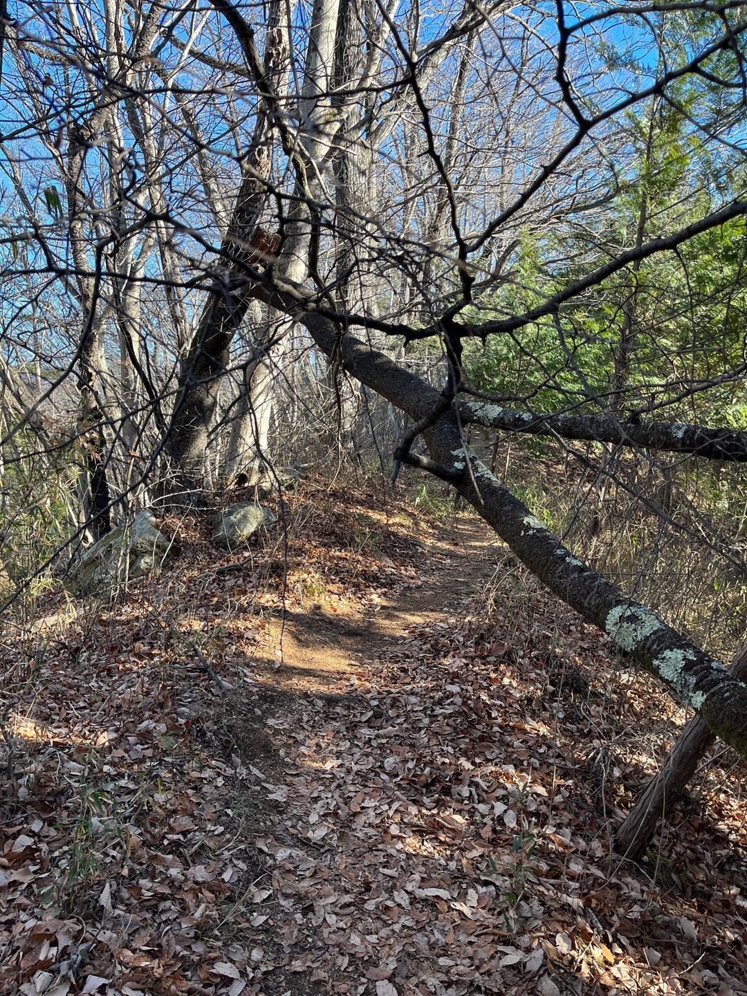 SSMさんの投稿したフィールドメモ | YAMAP / ヤマップ