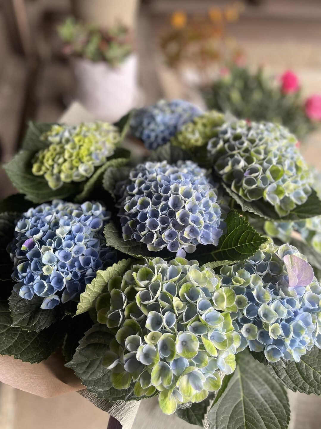 母の日帰省 パトロール / ☆taemon☆さんのウォーキングの活動データ | YAMAP / ヤマップ