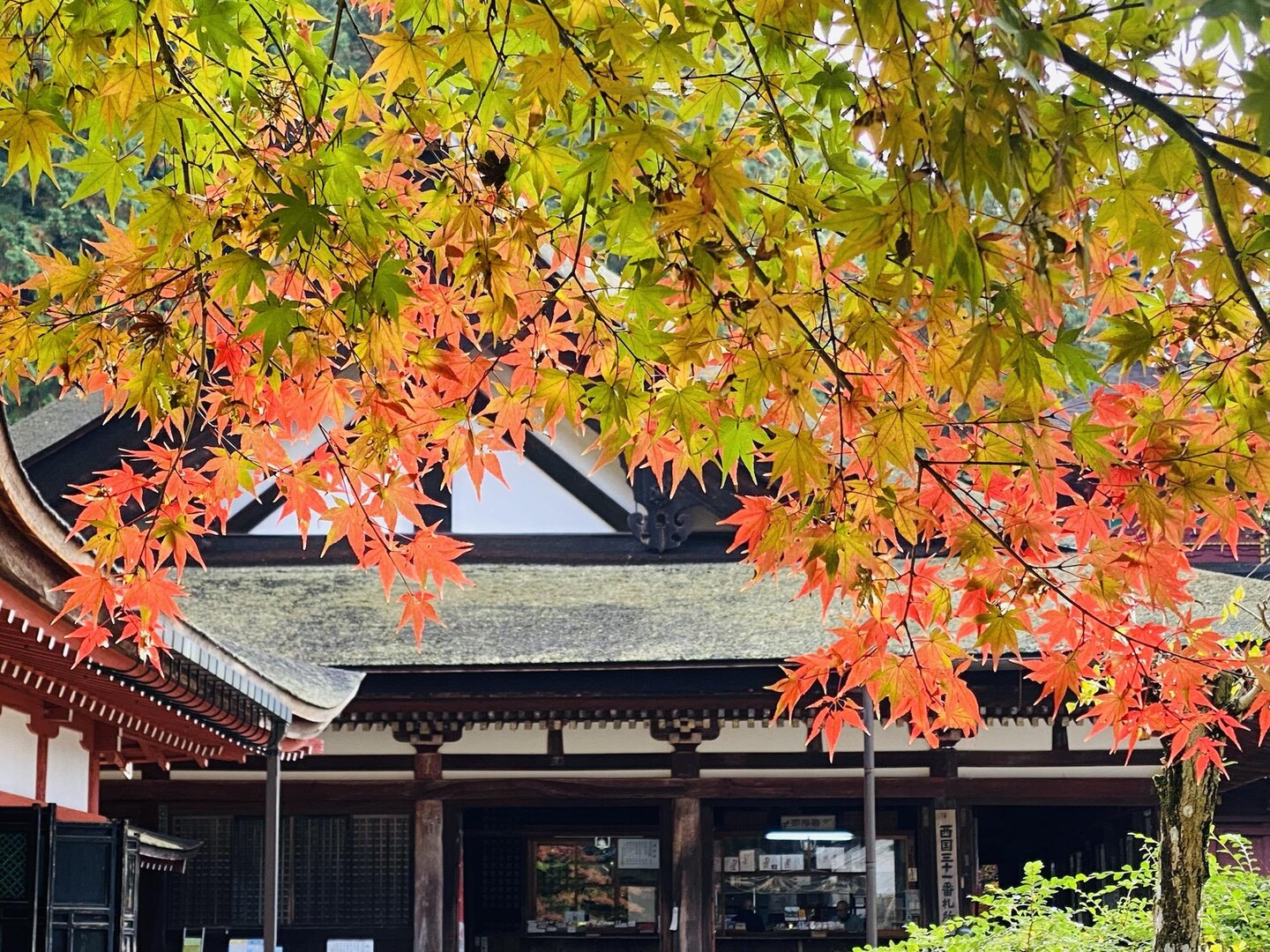 琵琶湖と⛵️長命寺山 / Sawaさんの長命寺山・奥島山・尾山の活動データ | YAMAP / ヤマップ