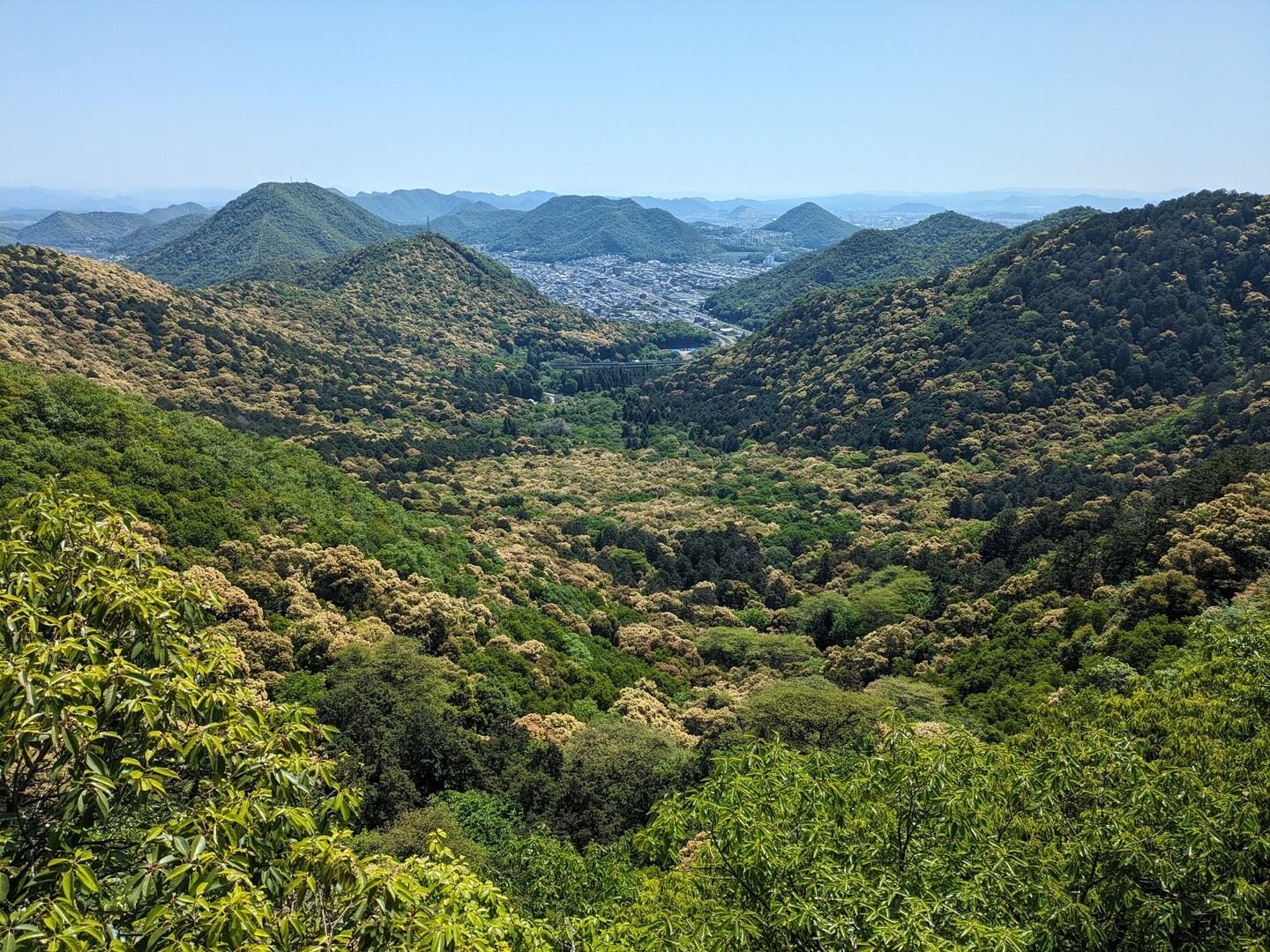 金華山 / Izumi.Kさんの金華山・洞山・舟伏山の活動データ | YAMAP / ヤマップ