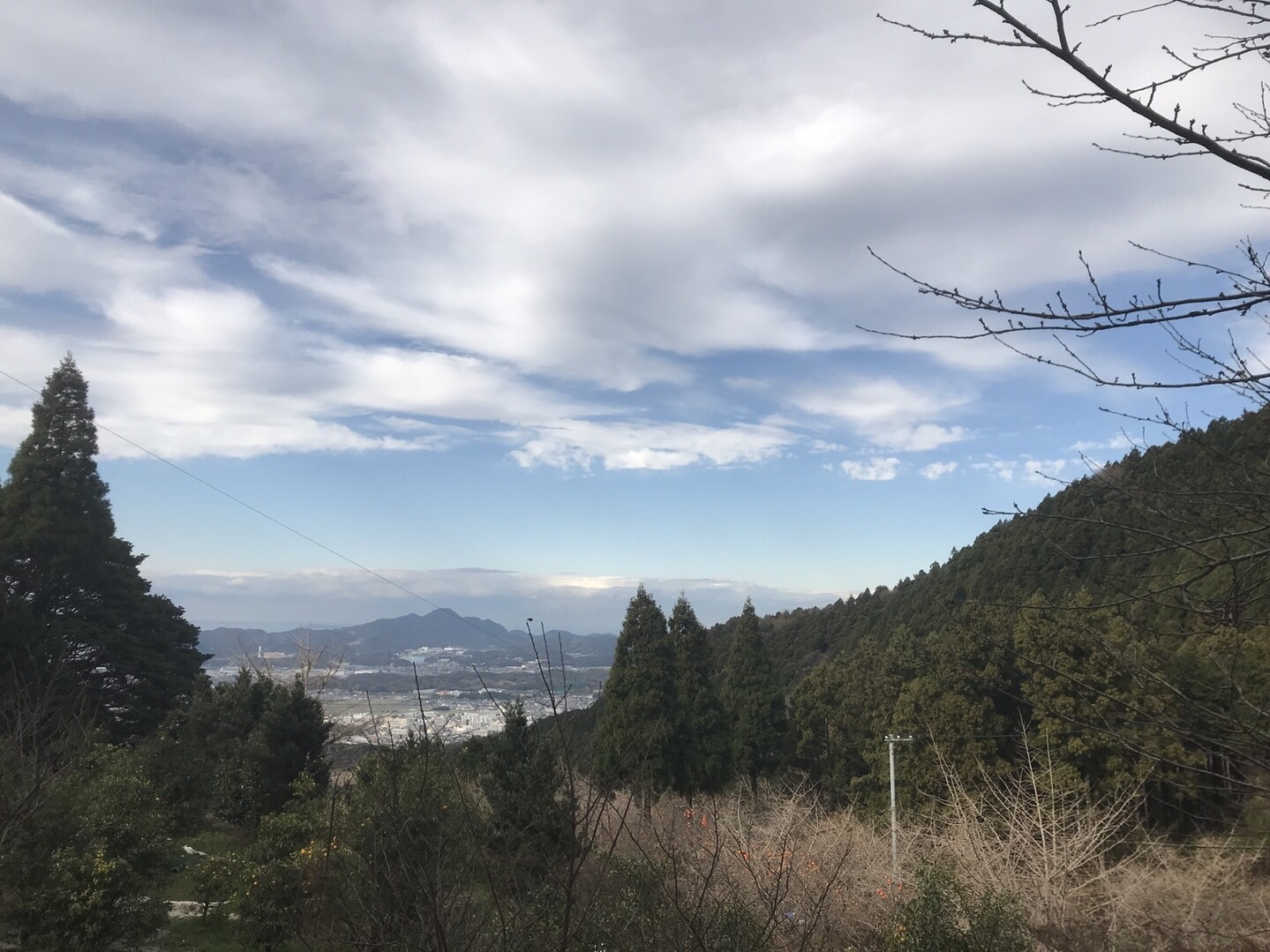 岳城山に行こうとしたら散歩になった / rentさんの篠栗町の活動データ | YAMAP / ヤマップ