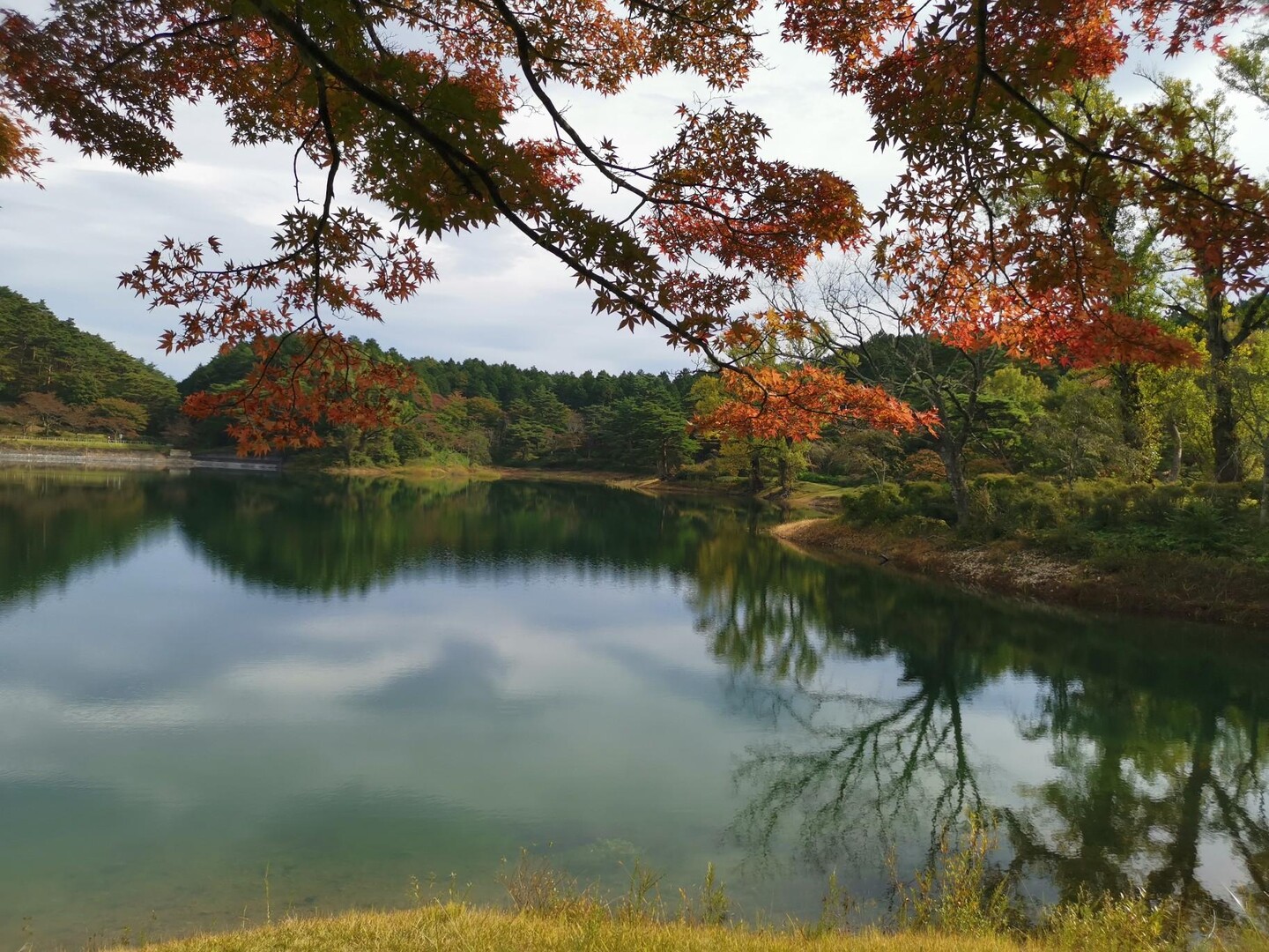 初★半田沼一周 / natsuさんのウォーキングの活動日記 | YAMAP / ヤマップ