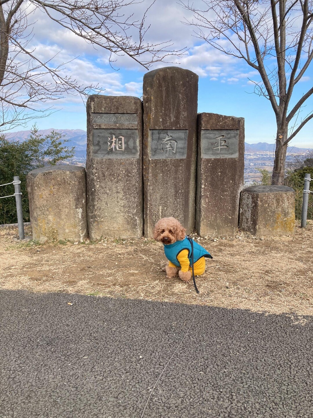 湘南平で犬山歩🦮 / ぽんずPAPAさんの高麗山・湘南平・鷹取山の活動データ | YAMAP / ヤマップ