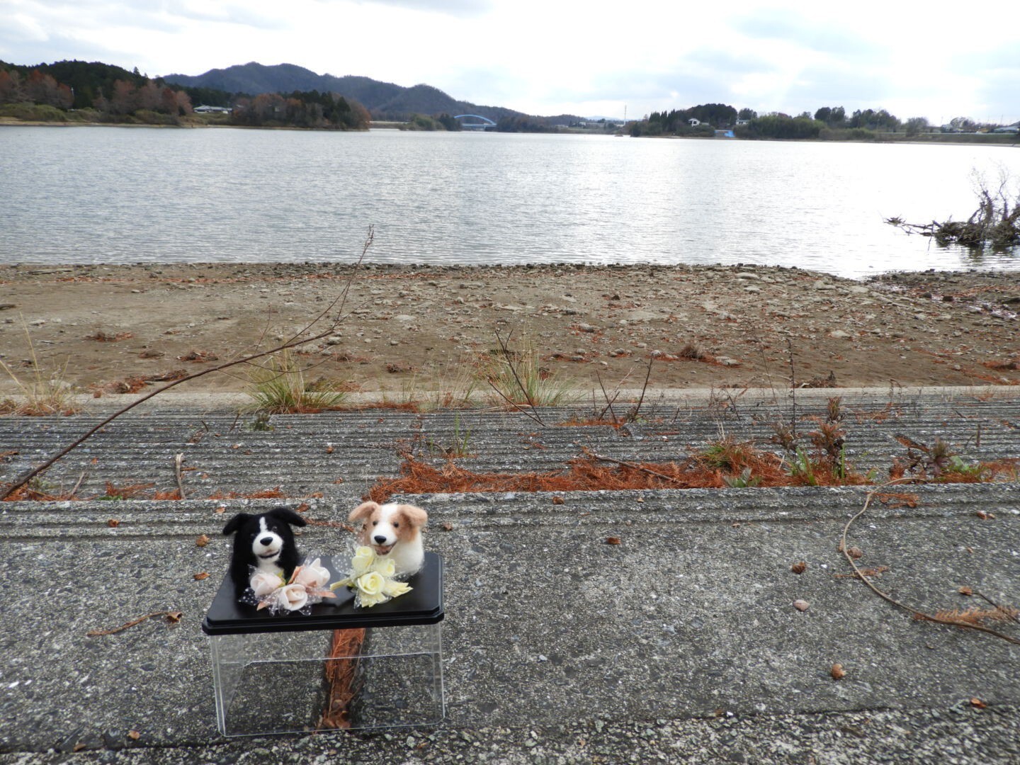 千丈寺湖一周リベンジ(笑) / cross君さんの有馬富士の活動データ | YAMAP / ヤマップ