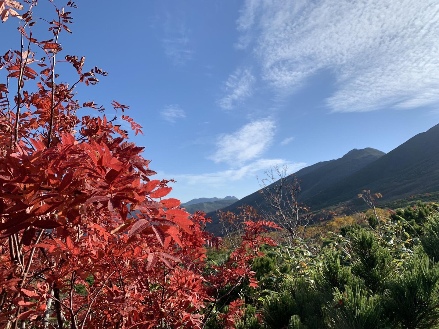 季節はずれの陽気に誘われて【石垣山→ベベツ岳→オプタテシケ山】 / kan J.さんの十勝岳・富良野岳・美瑛岳の活動データ | YAMAP / ヤマップ