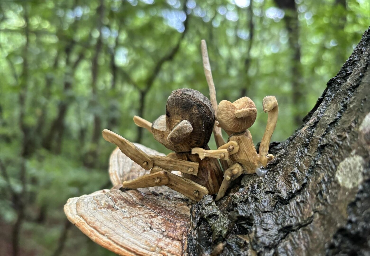 水沢山×2 / chieさんの榛名山・天狗山・天目山の活動データ | YAMAP / ヤマップ