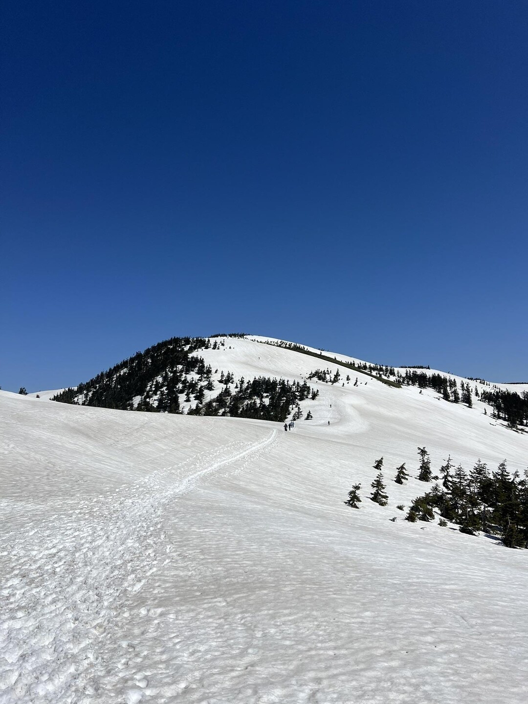 残雪期の会津駒ヶ岳 / Fisherマンさんの会津駒ヶ岳の活動データ | YAMAP / ヤマップ