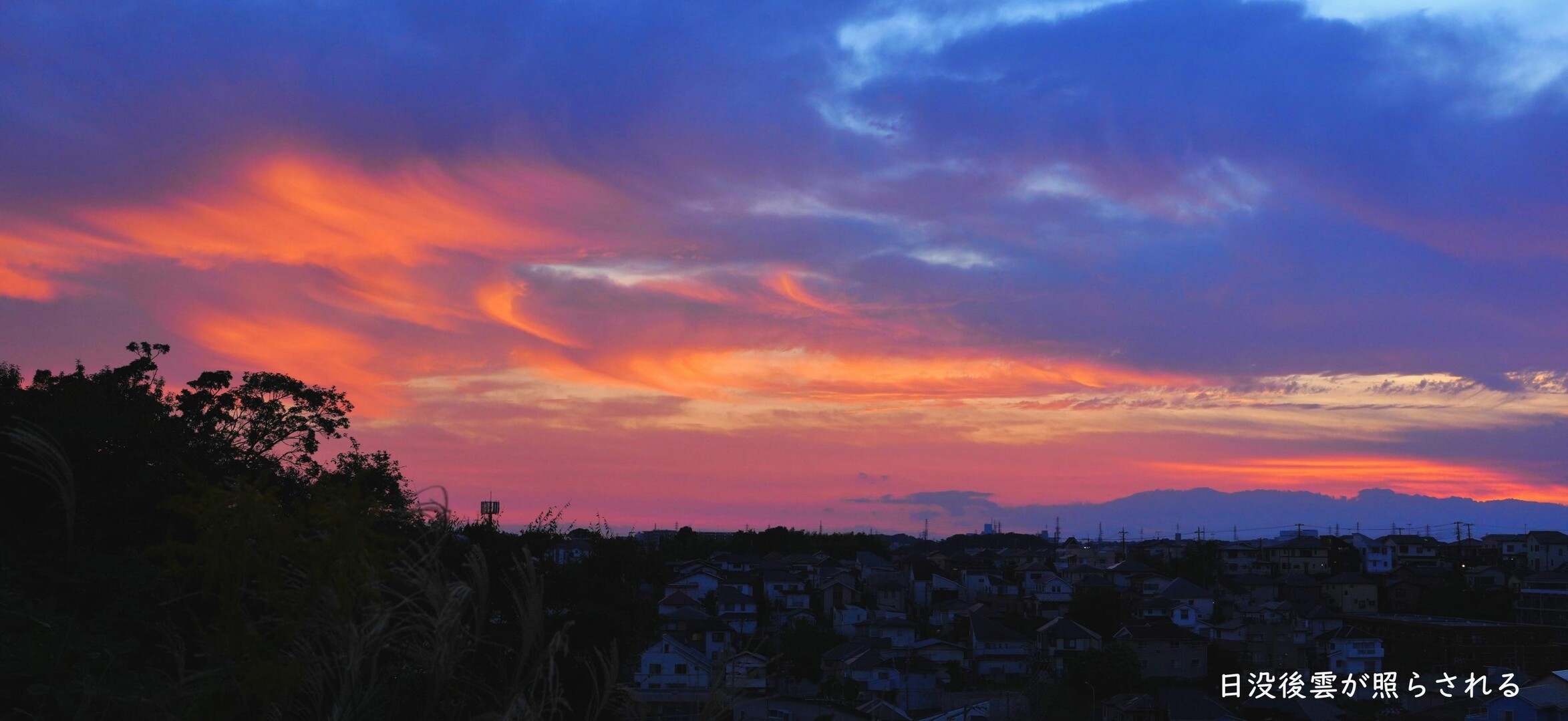 今日の散歩📷は日の入りの風景 花や昆... / アキチャン1491さんのモーメント | YAMAP / ヤマップ