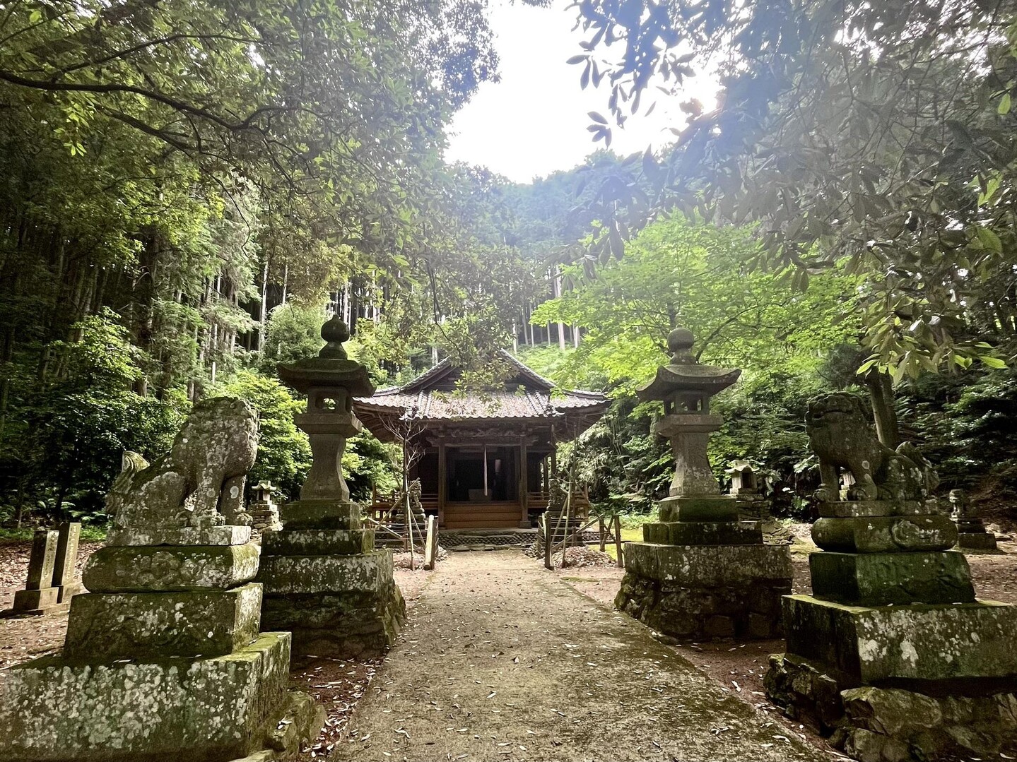 隙間時間に ⑅【天皇山】 / pu_kaoさんの麻底良山の活動データ | YAMAP / ヤマップ