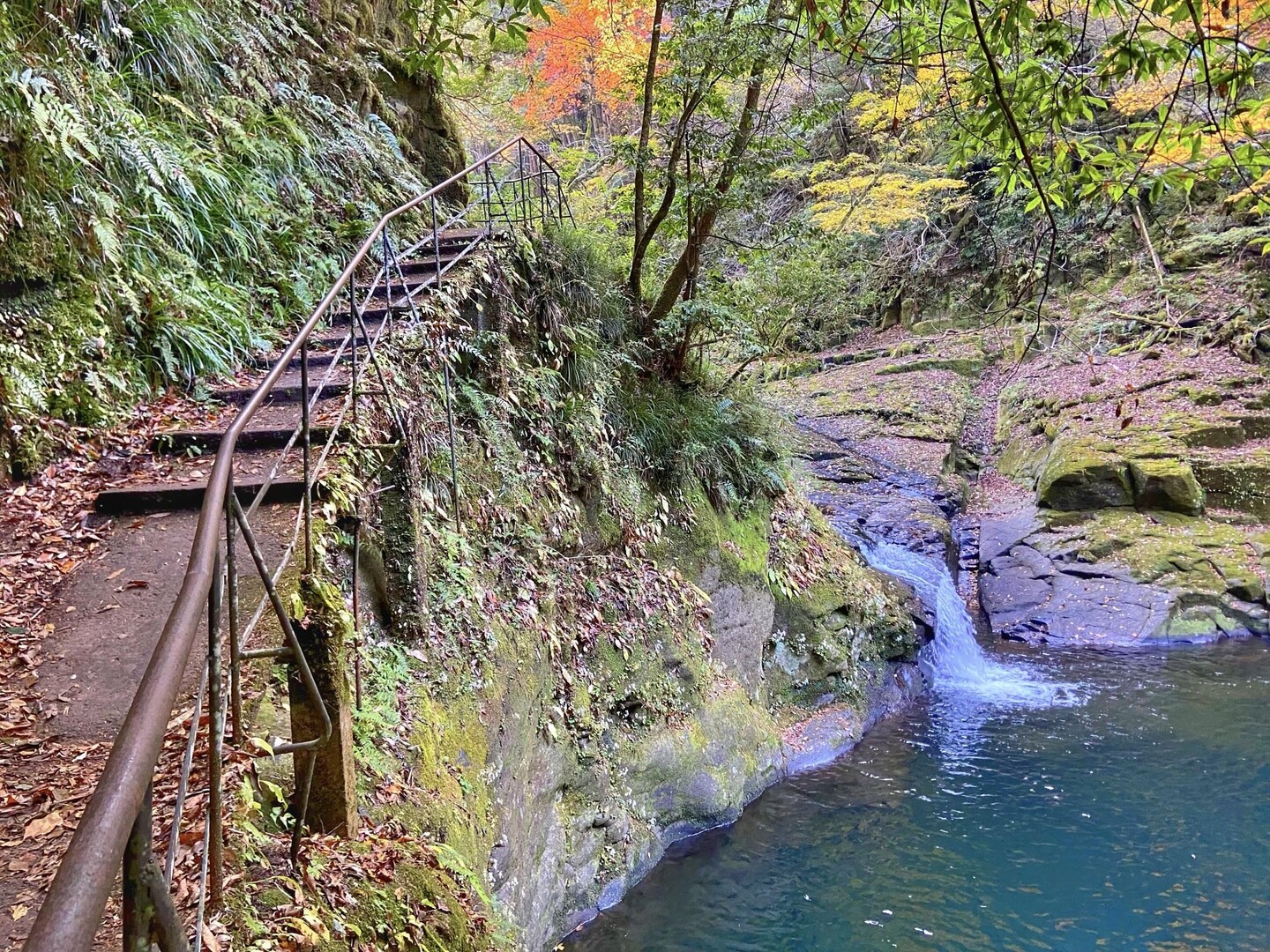 4年ぶりに赤目四十八滝に行きました🙂⛰... / kiyo☆さんのモーメント | YAMAP / ヤマップ