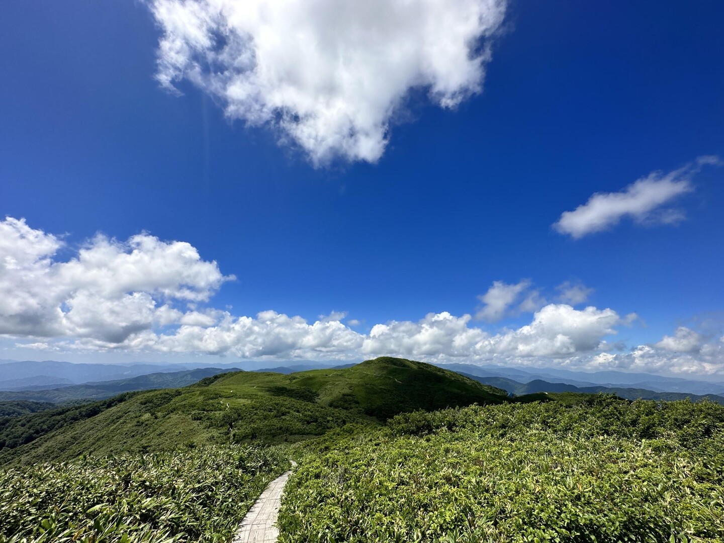 白木峰 / ヒデsanさんの白木峰・小白木峰の活動データ | YAMAP / ヤマップ