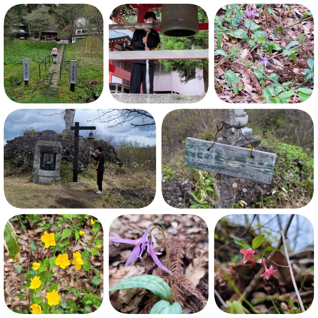 国見山 / koke🌿さんの奥州市（東エリア）の活動データ | YAMAP / ヤマップ