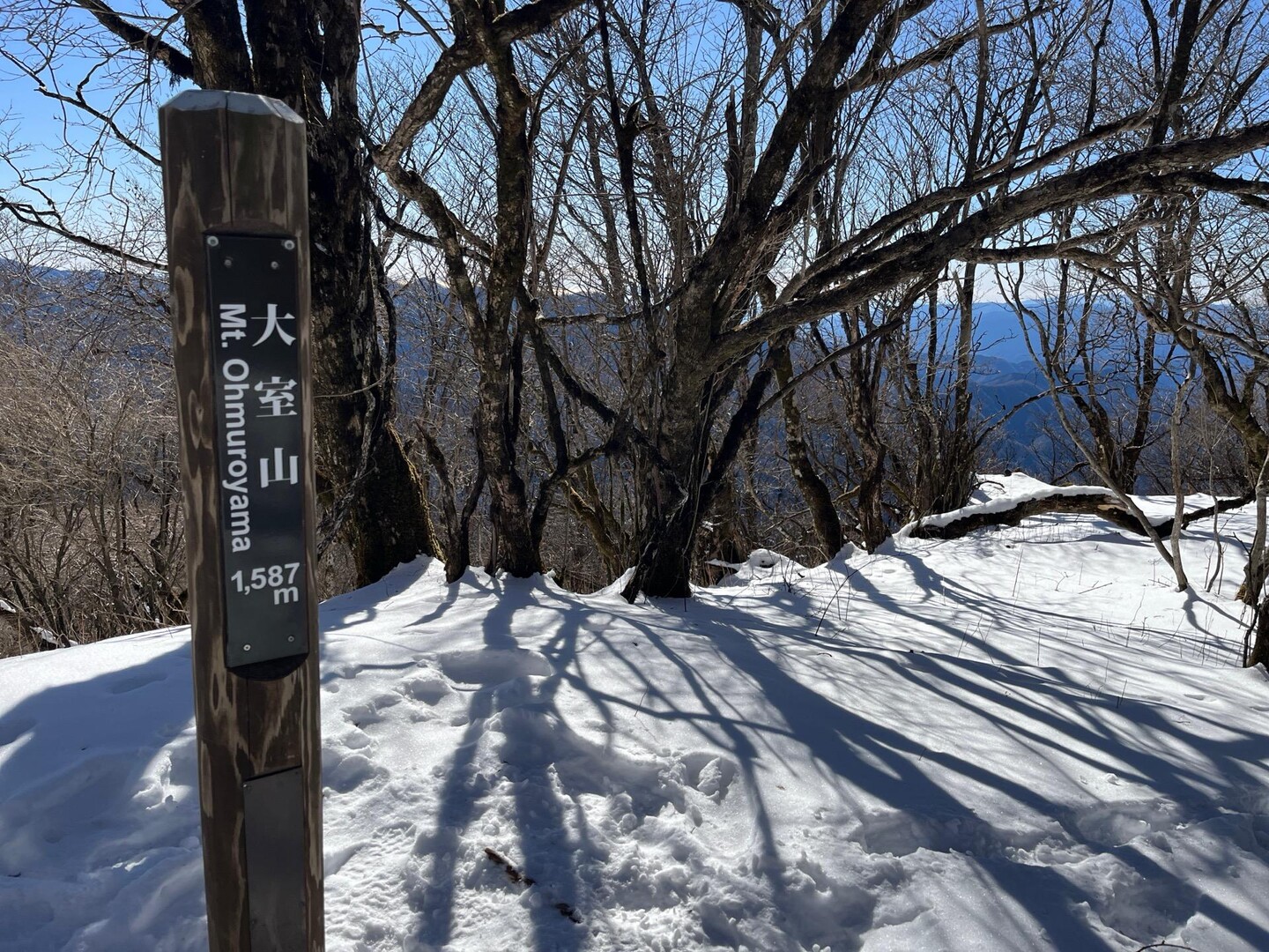 大室山 / yukky..さんの大室山・畦ヶ丸山・菰釣山の活動データ | YAMAP / ヤマップ