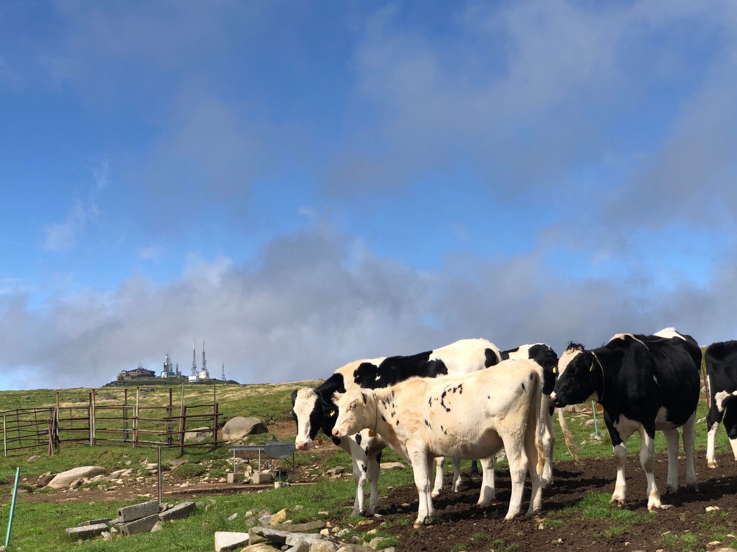 美ヶ原(王ヶ頭) / taki_ggさんのハイキングの活動データ | YAMAP / ヤマップ