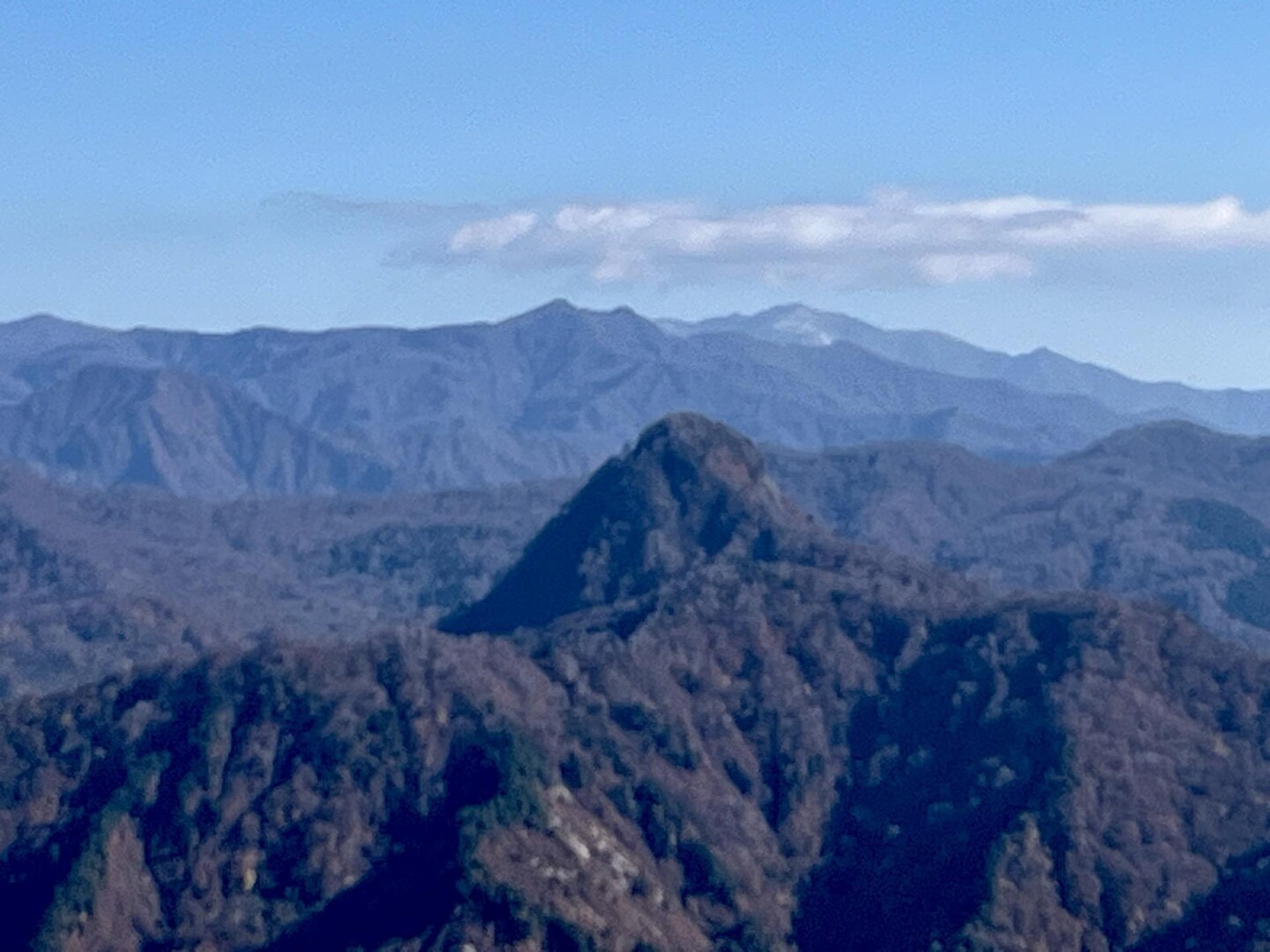開放感たっぷりの天蓋山🤗 / w823hさんの天蓋山の活動データ | YAMAP / ヤマップ