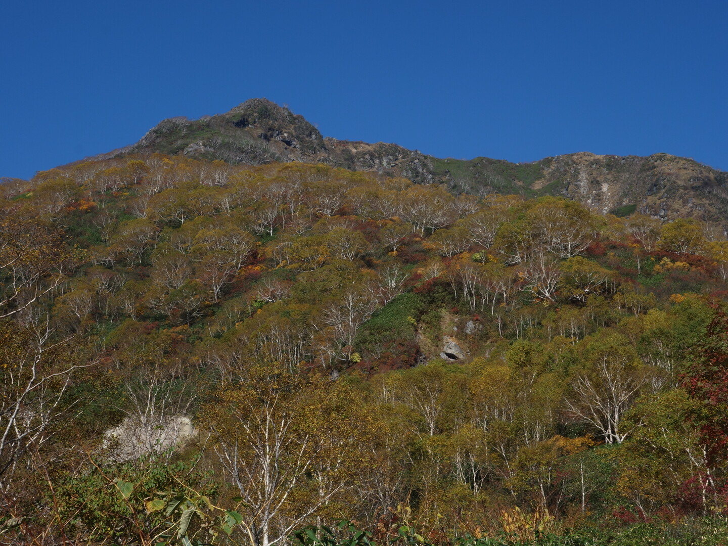 スカイケーブル～妙高山 / we_ma2さんの妙高山・火打山の活動データ | YAMAP / ヤマップ